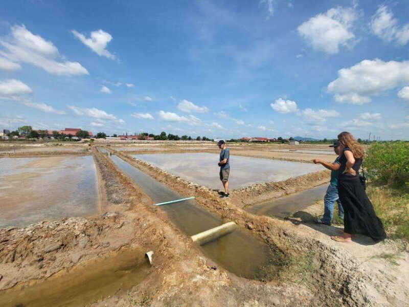 Kampot Pepper Farm, Salt Fields, Cave from Sihanoukville - Key Points