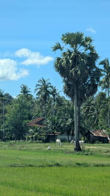 Kampot Private Tour: Pepper Farm, Salt Field & Secret Lake - The Sum Up