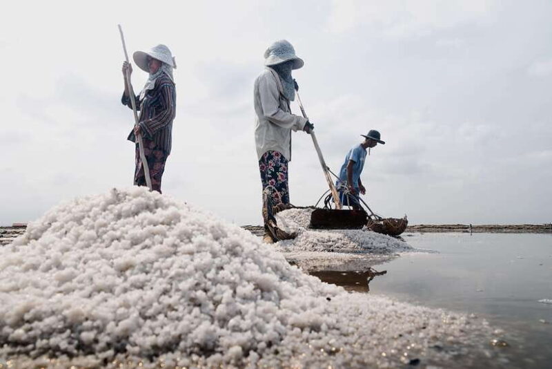 Kampot: Salt Fields, Pepper Farm, and Secret Lake Tour - Key Points