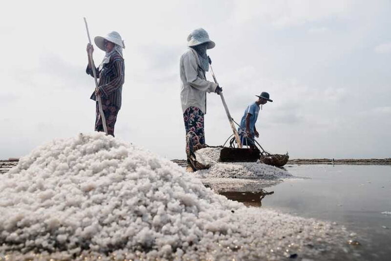 Kampot: Salt Fields, Pepper Farm, and Secret Lake Tour - FAQ