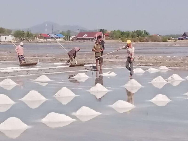 Kampot ~The County side/pepper farm/ Kep Crab market - Final Thoughts