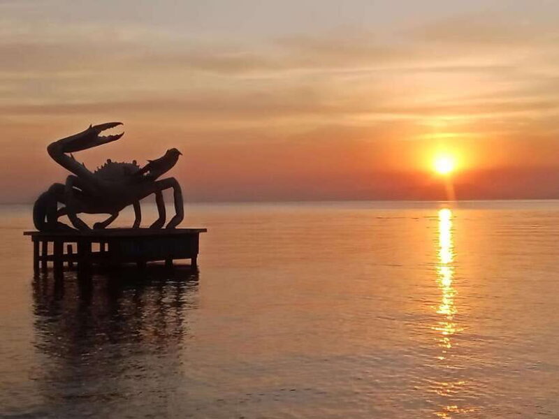 KAMPOT~ the kayak tour/pepper testing/Sunset on time & more - Breakdown of the Itinerary