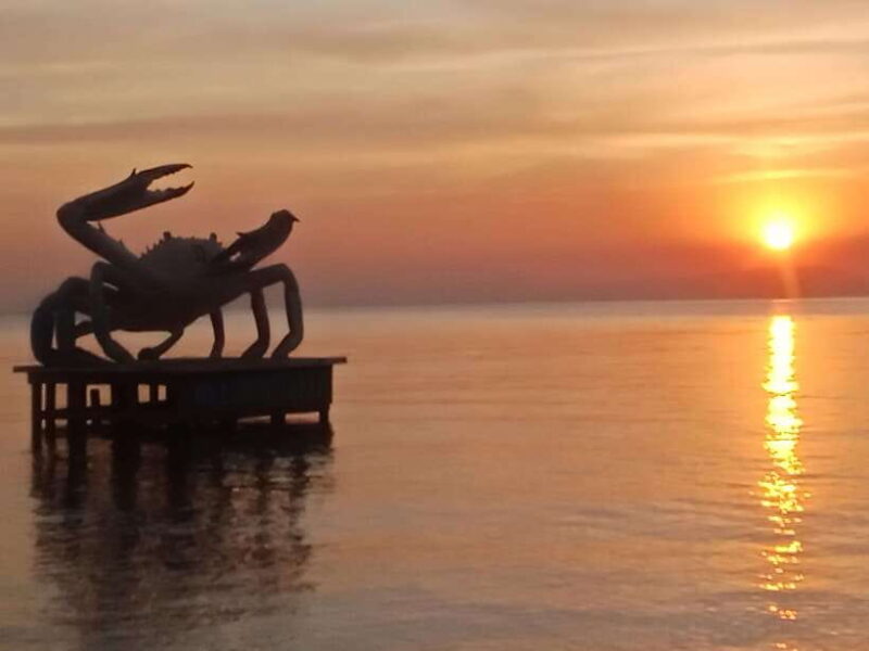 KAMPOT~ the kayak tour/pepper testing/Sunset on time & more - Final Thoughts