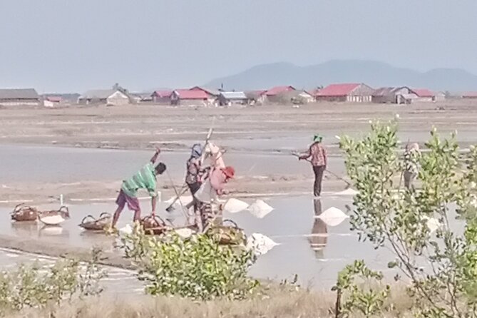 KAMPOT TRAVEL-Pepper farm. Cave.Secret lake-Crab market & Salt... - Practical Details & Value Analysis