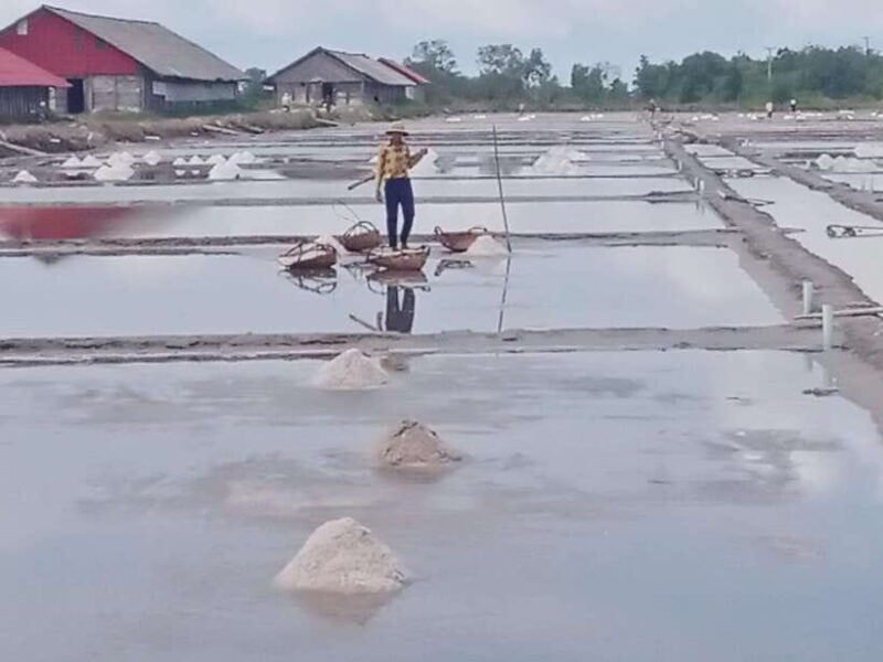 Kampot: Tuk Tuk Trip to Pepper Farm, Kep, Crab Market & More - What to Expect from the Stops