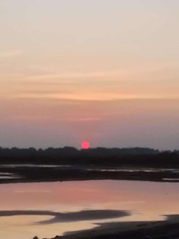 Kampot: Tuk Tuk Trip to Pepper Farm, Kep, Crab Market & More - Evaluating Value for Money