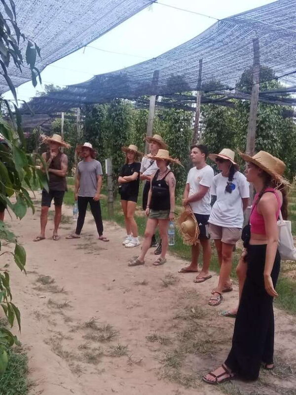 Kampot: Tuk Tuk Trip to Pepper Farm, Kep, Crab Market & More - Who Will Love This Tour?