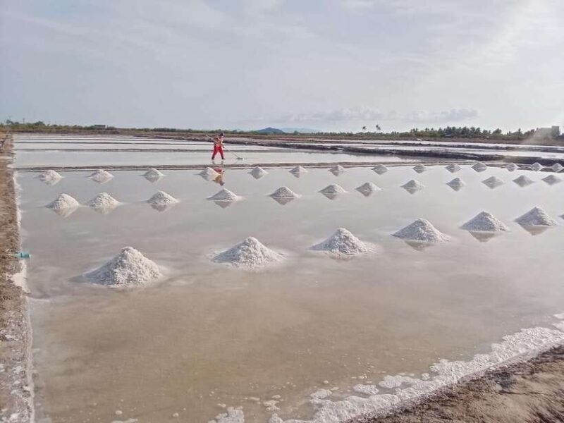 Kampot: Tuk Tuk Trip to Pepper Farm, Kep, Crab Market & More - Final Thoughts