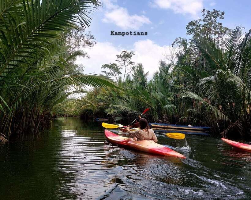 Kampot's Countryside & Kayak Tour, Pepper Farm include Lunch - Key Points