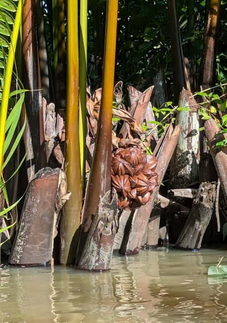 Kampot's Countryside & Kayak Tour, Pepper Farm include Lunch - Authenticity and Traveler Feedback