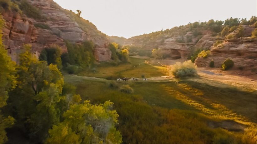 Kanab: Cave Lakes Canyon Horseback Riding Experience - The Horses and Guide Experience