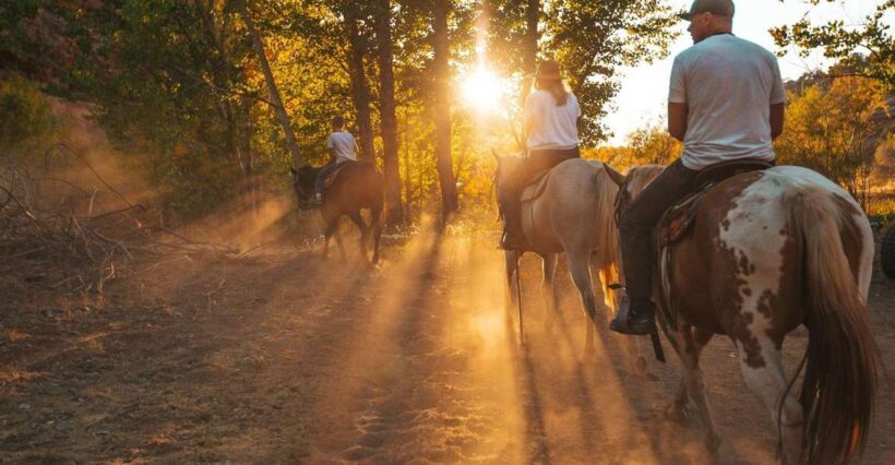 Kanab: Cave Lakes Canyon Horseback Riding Experience - Who Will Love This Experience?