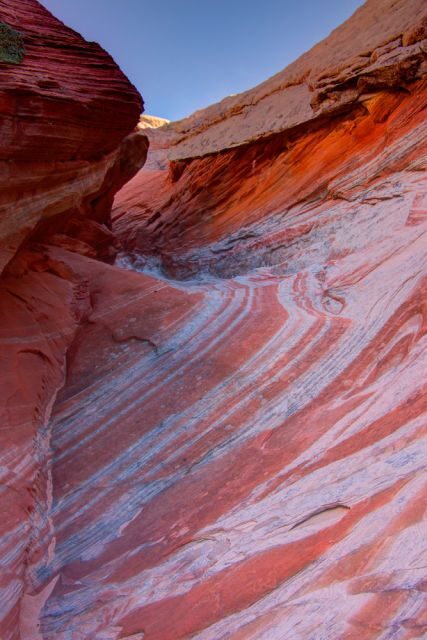 Kanab: White Pocket Hiking Tour in Vermilion Cliffs - FAQ