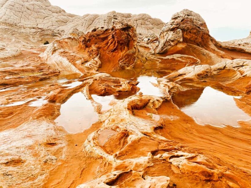 Kanab: White Pocket Rock Formation Small Group Tour - Key Points