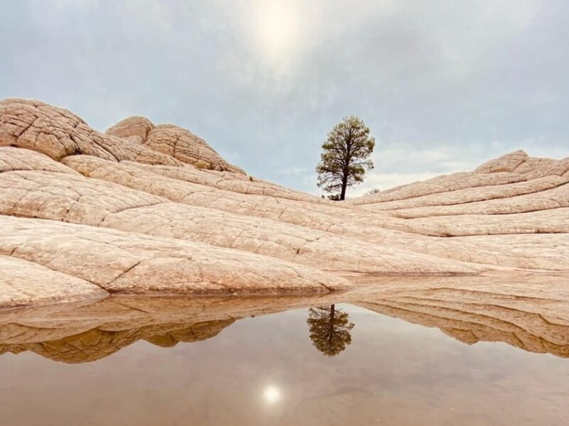 Kanab: White Pocket Rock Formation Tour - Why This Tour Works for Different Travelers