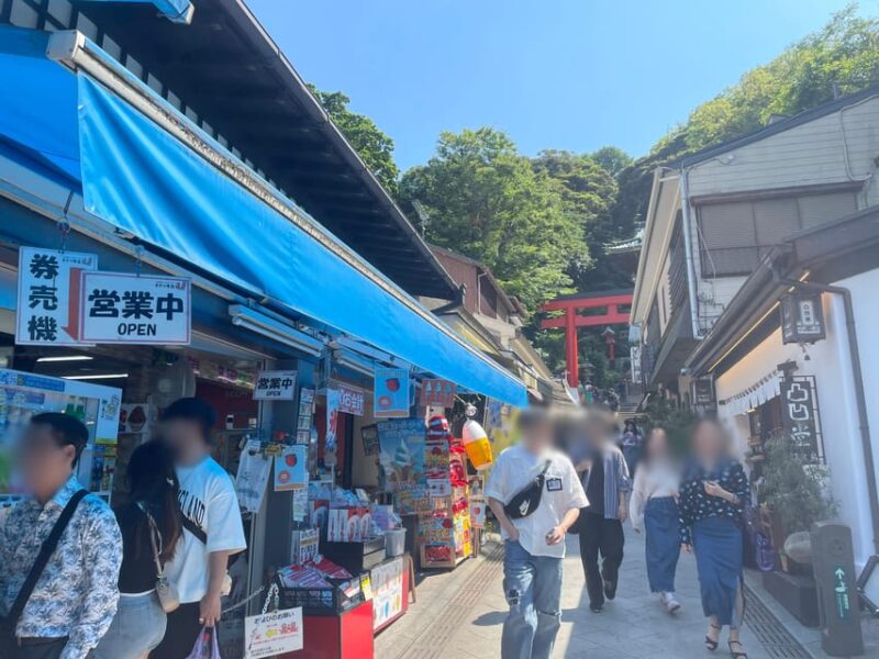 Kanagawa: Shopping & Temple Visit Tour in Enoshima Island - Visiting Eshima Shrine