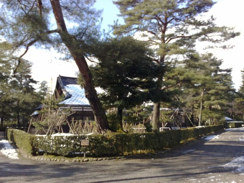 Kanazawa Like a Local: Customized Guided Tour - Customization Options for the Tour