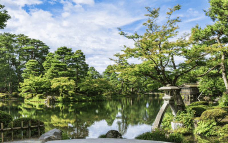 Kanazawa: Main Sights and Hidden Spots Guided Walking Tour - Omicho Market