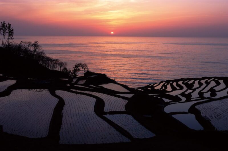 Kanazawa: Noto Peninsula Private Day-Tour - Wajima Morning Market