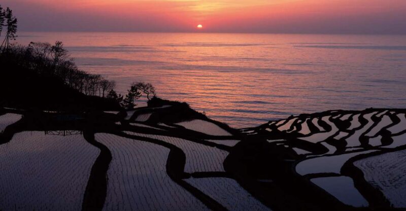Kanazawa: Noto Peninsula Private Day-Tour - Senmaida Rice Fields
