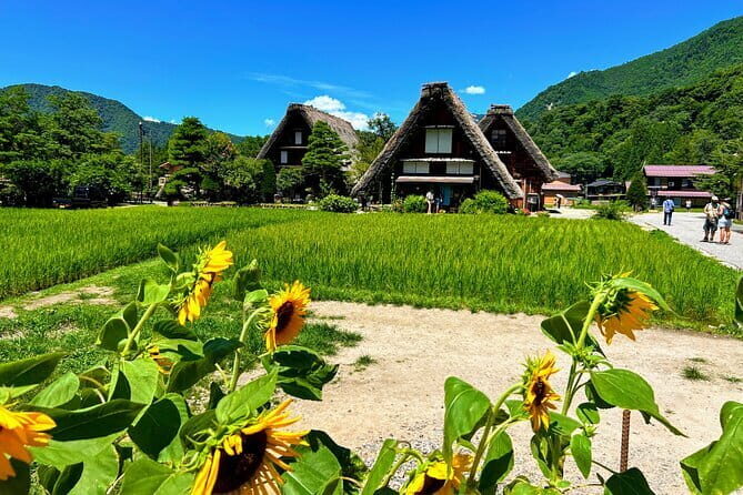 Kanazawa Private 3 Hour Bar Hopping Tour with Local Guide - Who Should Consider This Tour?