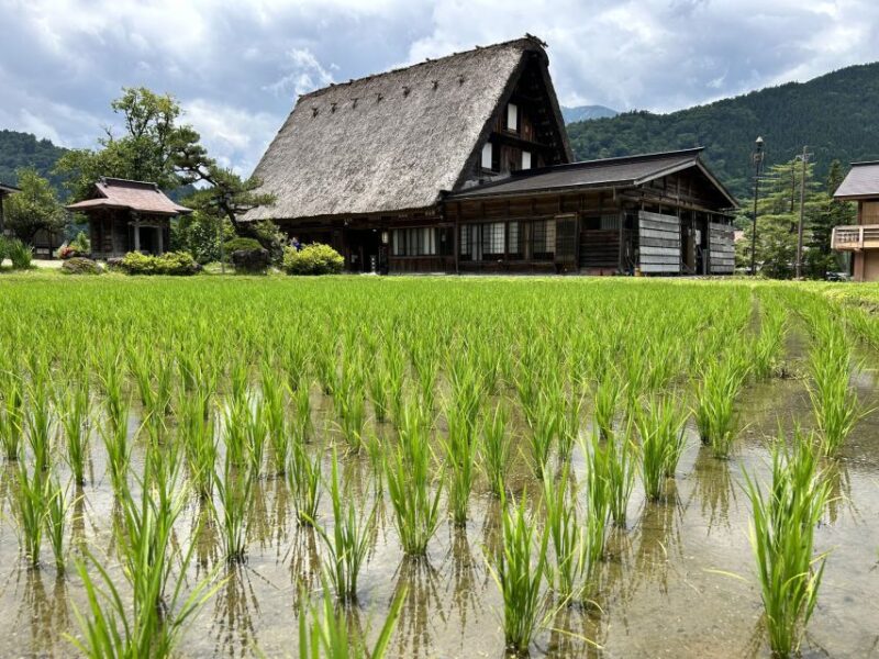 Kanazawa to Shirakawago: Half-Day Tour - Architectural Highlights