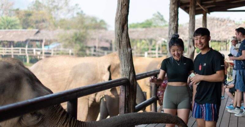 Kanchanaburi: Elephant Sanctuary & Erawan Waterfall Tour - Who Will Love This Tour?