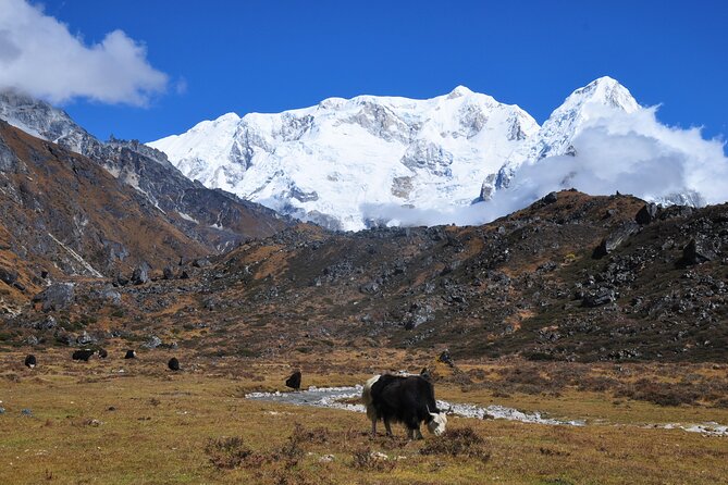 Kanchenjunga Circuit Trek - The Value of the Tour