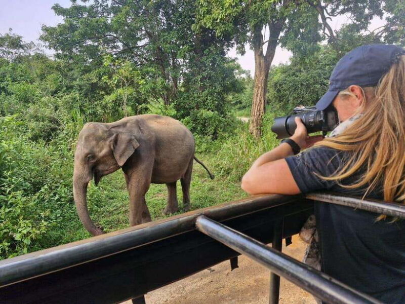 Kandy: 4-Day Sri Lanka Full Circle Private Tour To Colombo - Practical Considerations