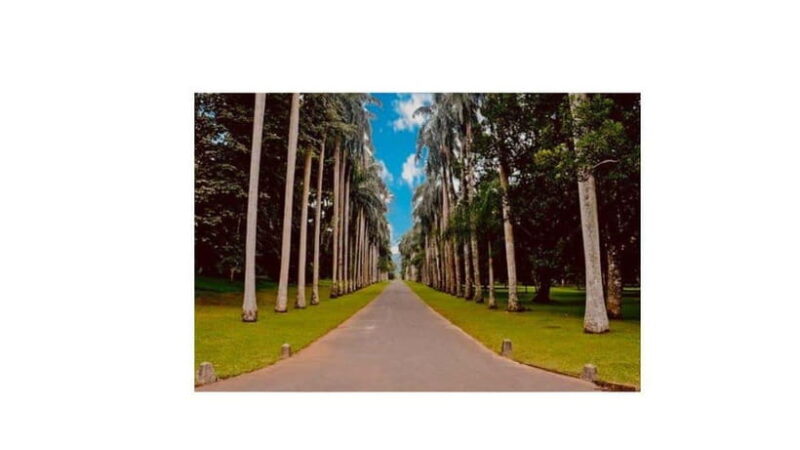 Kandy : All Inclusive City Tour By Tuk Tuk - Key Points