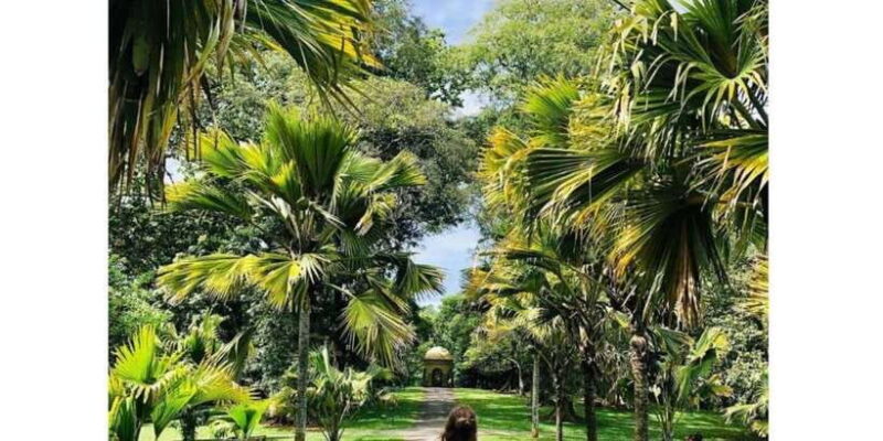 Kandy: Ambuluwawa CityTours :Sigiriya Day Tour or(Drop)2Days - Key Points