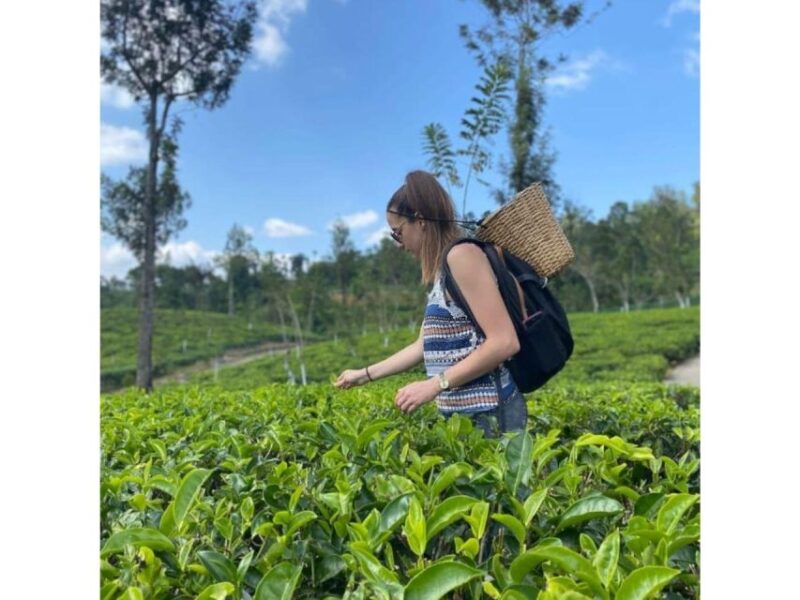 Kandy: Ambuluwawa CityTours :Sigiriya Day Tour or(Drop)2Days - FAQ