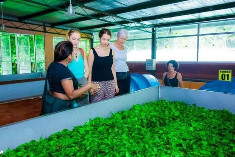 Kandy : Ambuluwawa Tower Day Tour by Tuk Tuk - Frequently Asked Questions (FAQs)