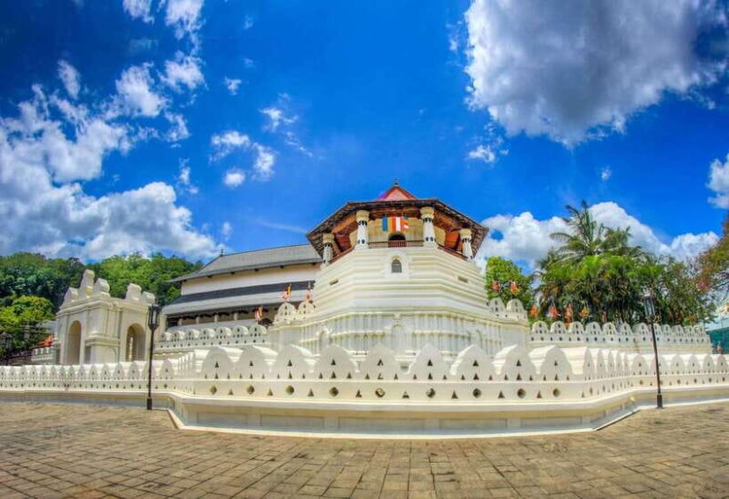 Kandy and Pinnawala: A Perfect 1-Day Tour Experience - Key Points