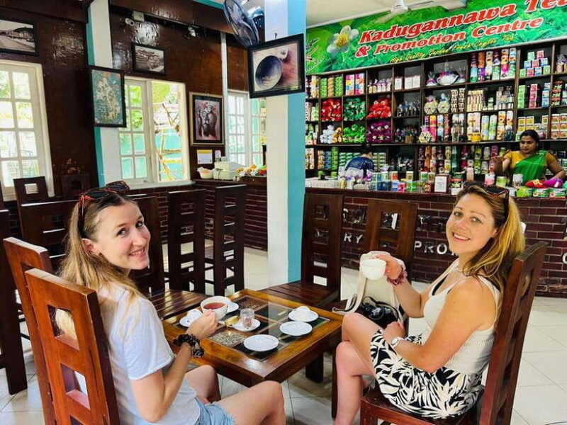 Kandy City Day Tour from Colombo, Negombo or Katunayake - Who Should Consider This Tour?