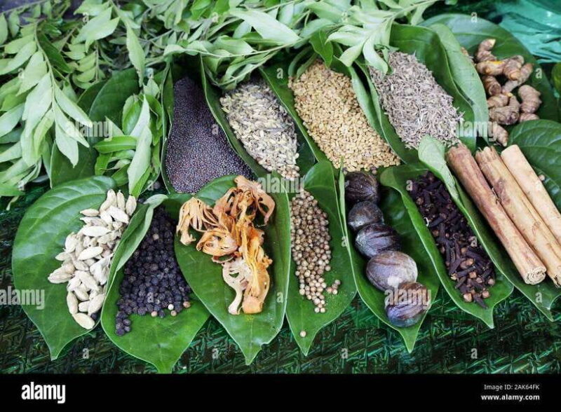 Kandy City Explore Full Day Tour , Like a Local - FAQ