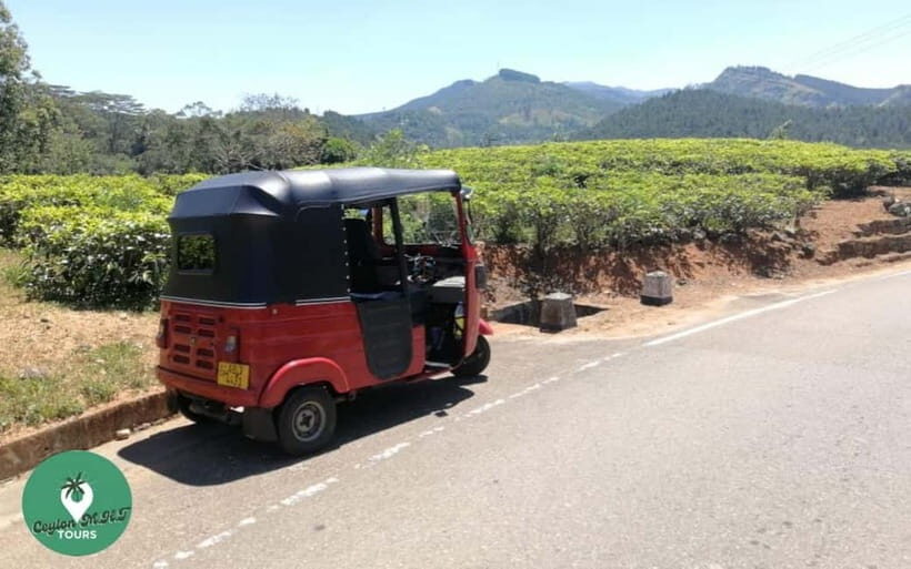 Kandy: City Explore with Local guide By Mini Van - An Authentic and Engaging Introduction to Kandy