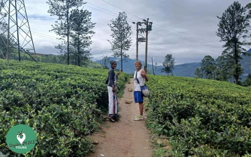 Kandy: City Explore with Local guide By Mini Van - The Sum Up: Who Is This Tour Best For?