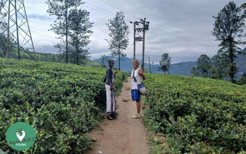 Kandy: City Explore with Local guide By Mini Van - FAQ