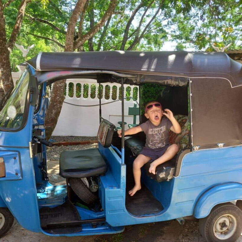 Kandy City Full Day Private Tour by Tuk Tuk - FAQs