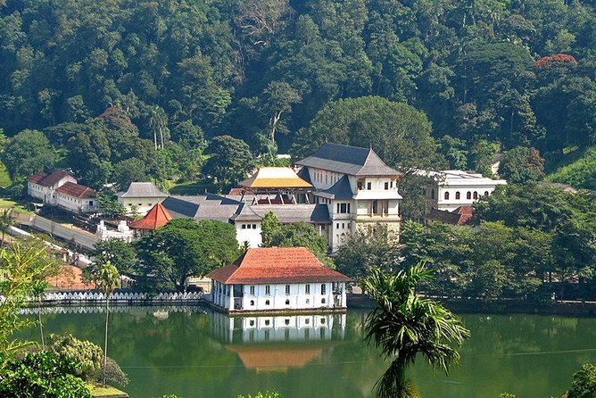 Kandy City Tour by Lux Tours Lanka - Practical Tips for Booking and Participating