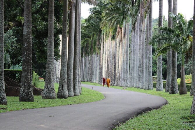 Kandy City Tour by Tuk-Tuk (Private & All-Inclusive) - FAQ