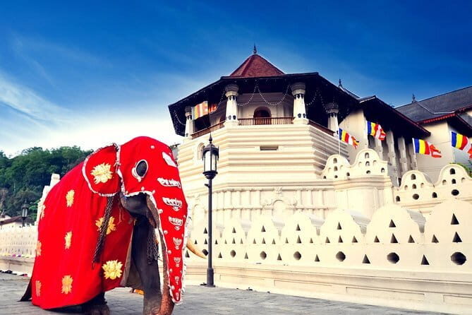 Kandy City Tour Experience from Kandy - Starting at the Temple of the Sacred Tooth Relic