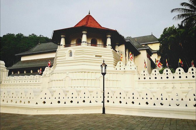 Kandy city tour for couple price - A Closer Look at the Tour Itinerary