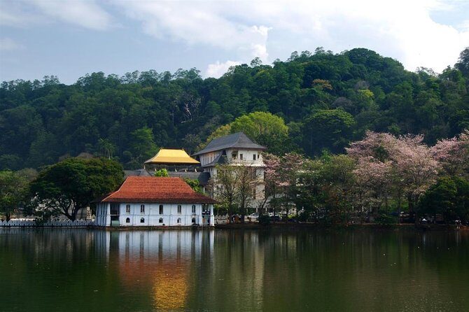 Kandy City Tour From Colombo - Final Thoughts: Is This Tour Worth It?