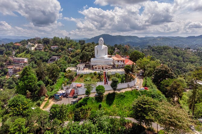 Kandy City Tour from Colombo - Sri Maha Bodhi Vihara: Panoramic Views and Spiritual Reflection