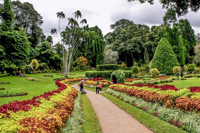 Kandy City Tour from Colombo - The Sacred Tooth Relic Temple: A Spiritual Highlight