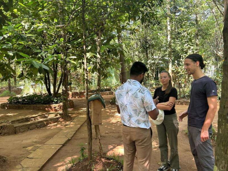 Kandy City Tour from Colombo or Negombo or Katunayaka - Who Will Love This Tour?