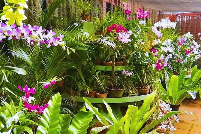 Kandy City Tour from Mount Lavinia - Frequently Asked Questions
