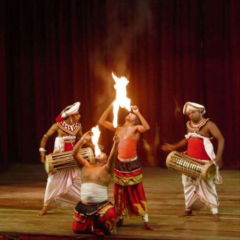 Kandy City Tour: UNESCO heritage city and temple visit - Who Will Love This Tour?